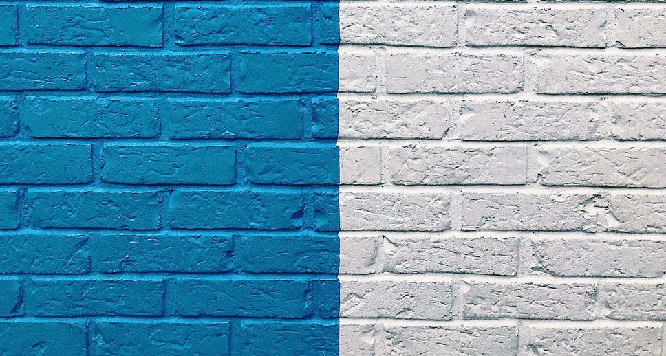 Splitting in Schizophrenia and Borderline Personality Disorder - Psychology